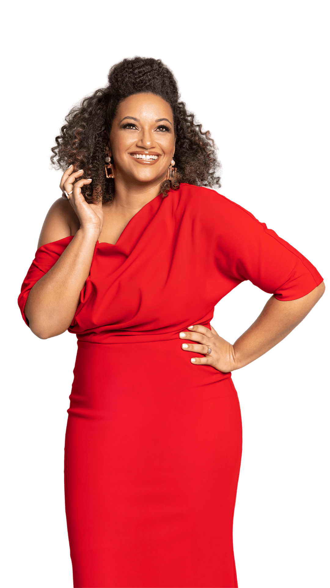 R.O.I.: The Millionaire Summit - ROI: The Millionaire Summit